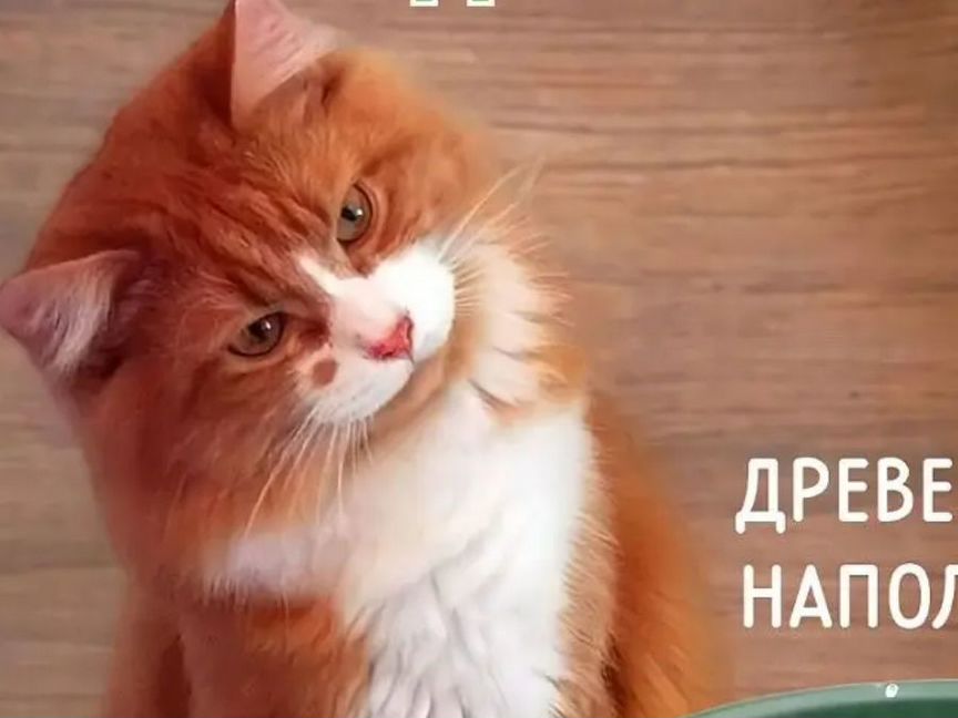 Наполнитель для кошачьего туалета Новый 5 кг Центр