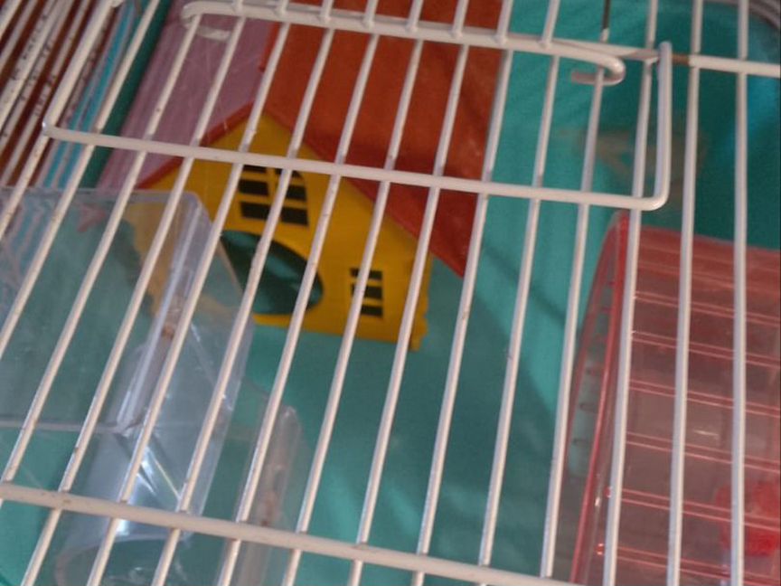 Дом хомяка или мышки