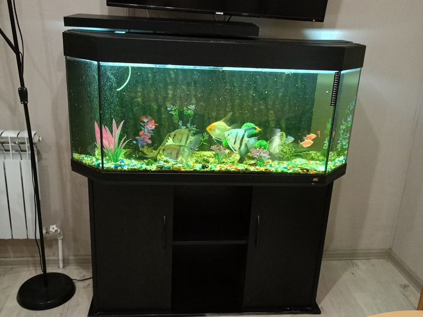 Аквариум с тумбой 300 литров