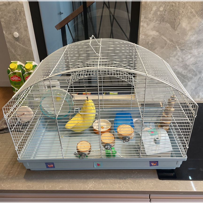 Клетка для джунгарского хомяка