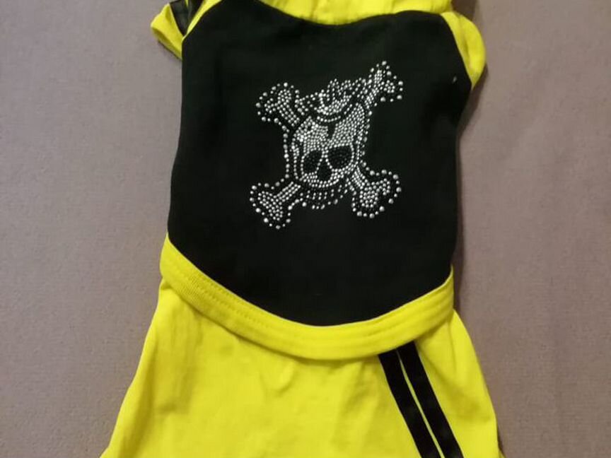 Одежда для собак