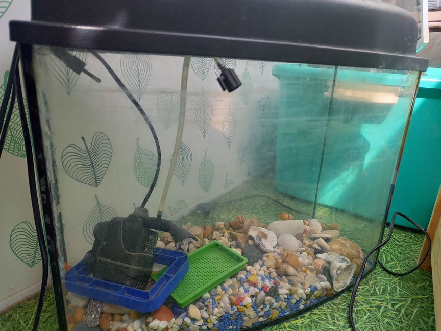 Фильтр для аквариума, аквариум, камни