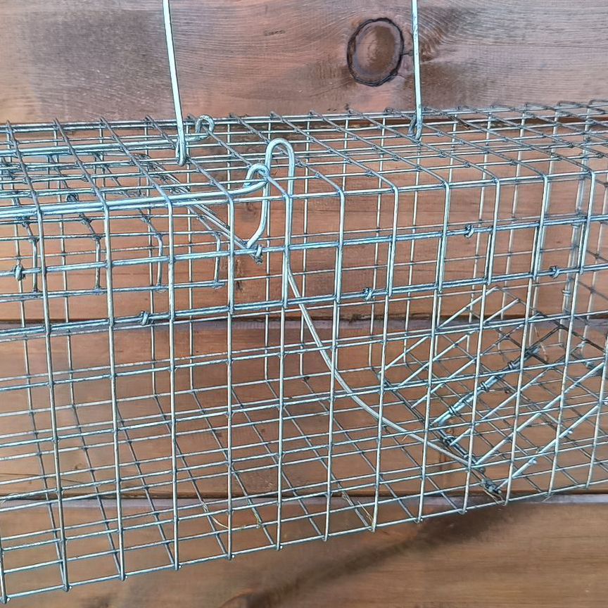 Крысоловка/подойдет и для хорька, ласки