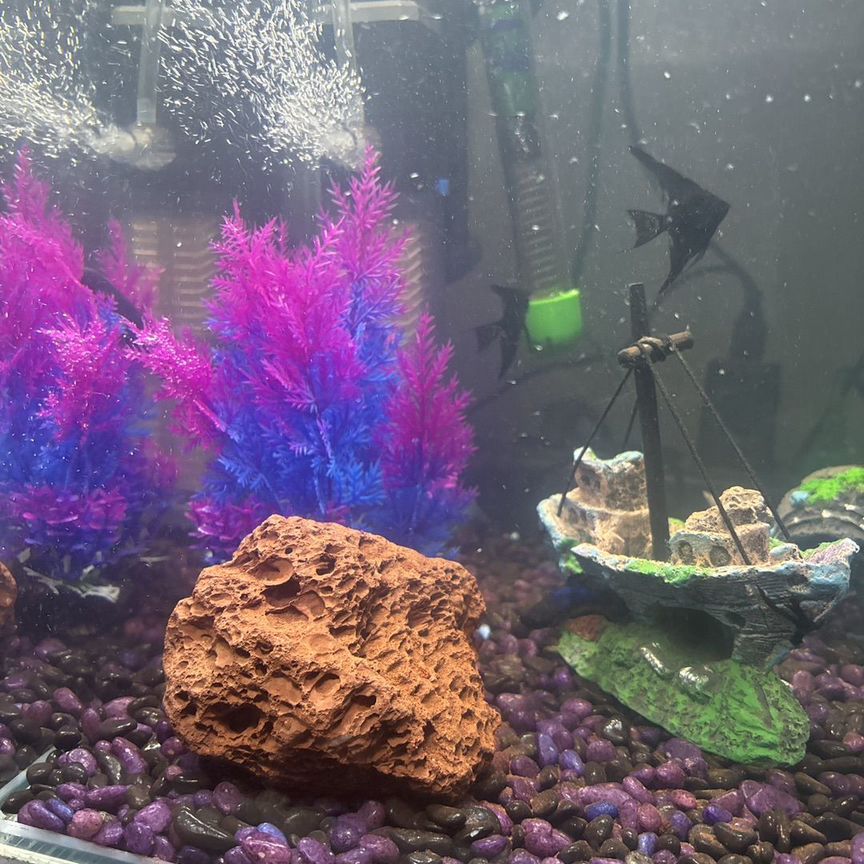 Аквариум с рыбками