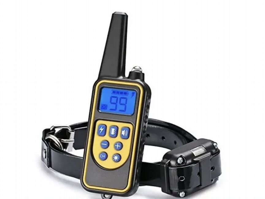 Ошейник для собак