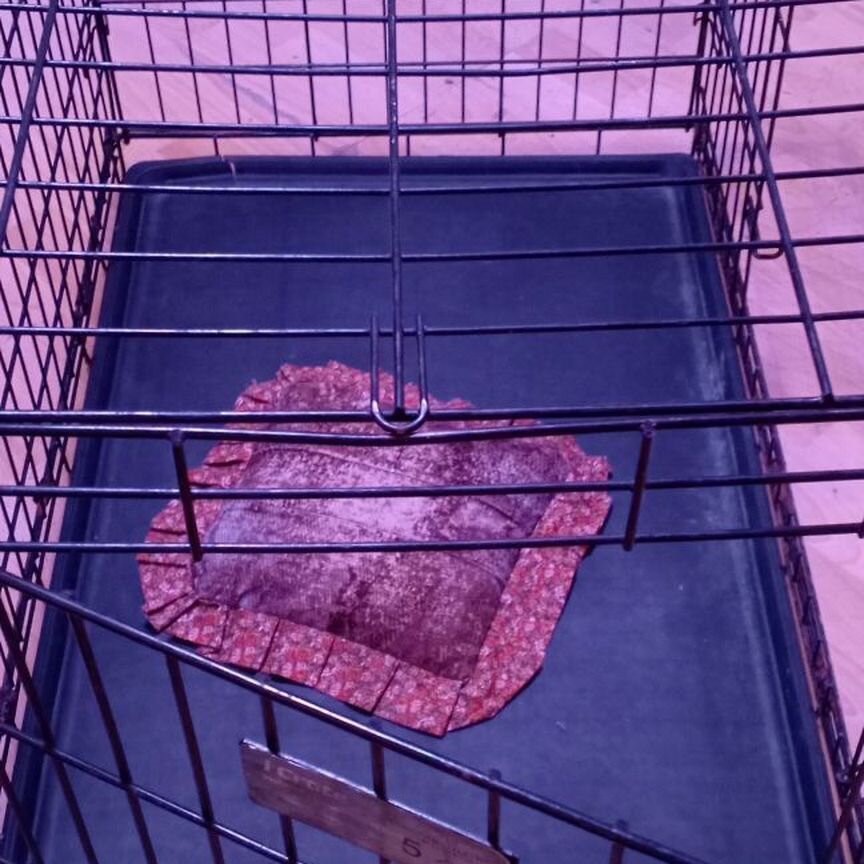 Клетка железная