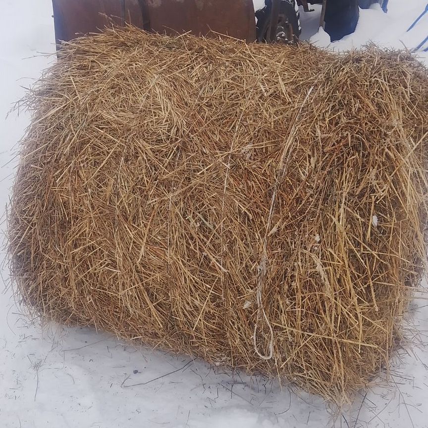 Сено в рулонах