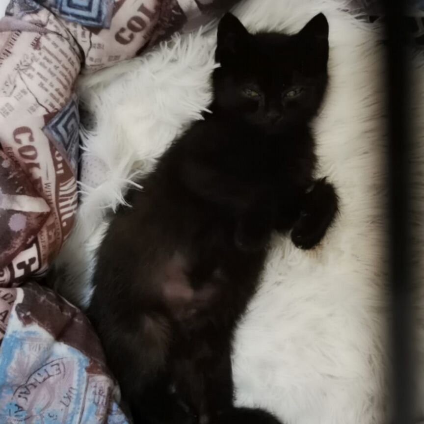 Активный малыш ищет маму