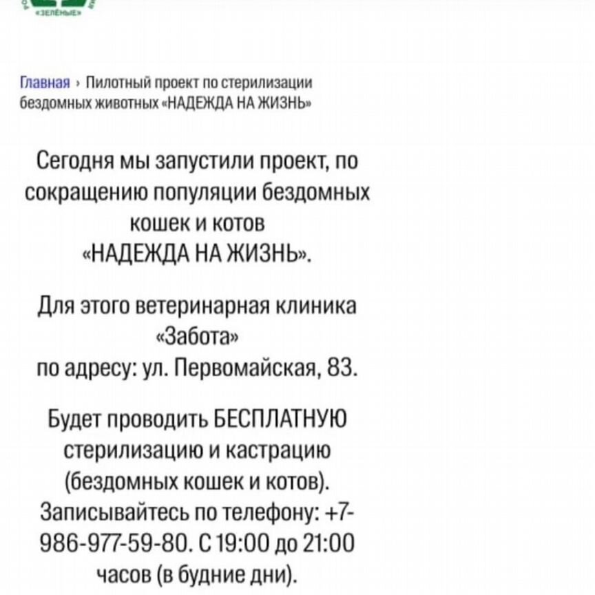 Стериллизвация кошек бесплатно