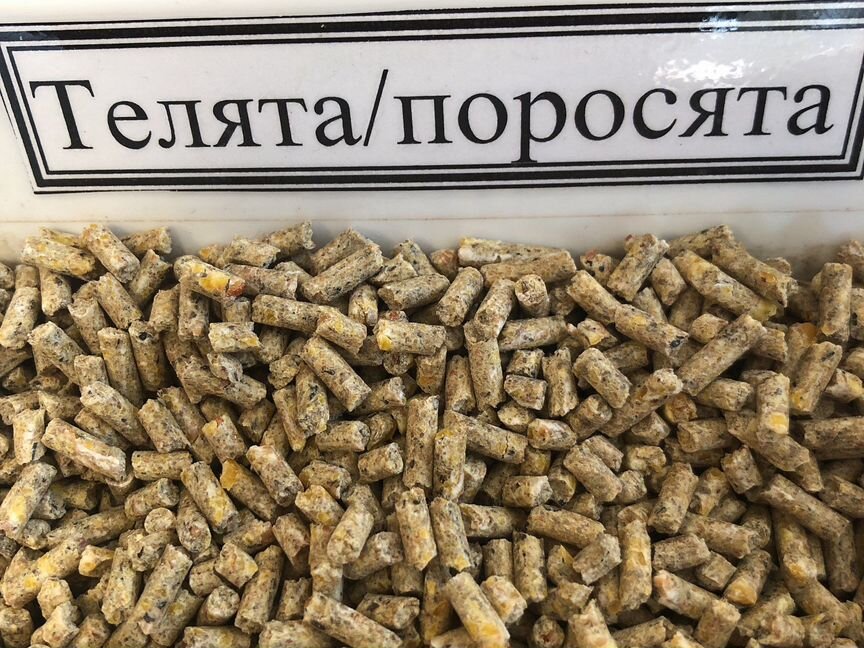 Телята старт