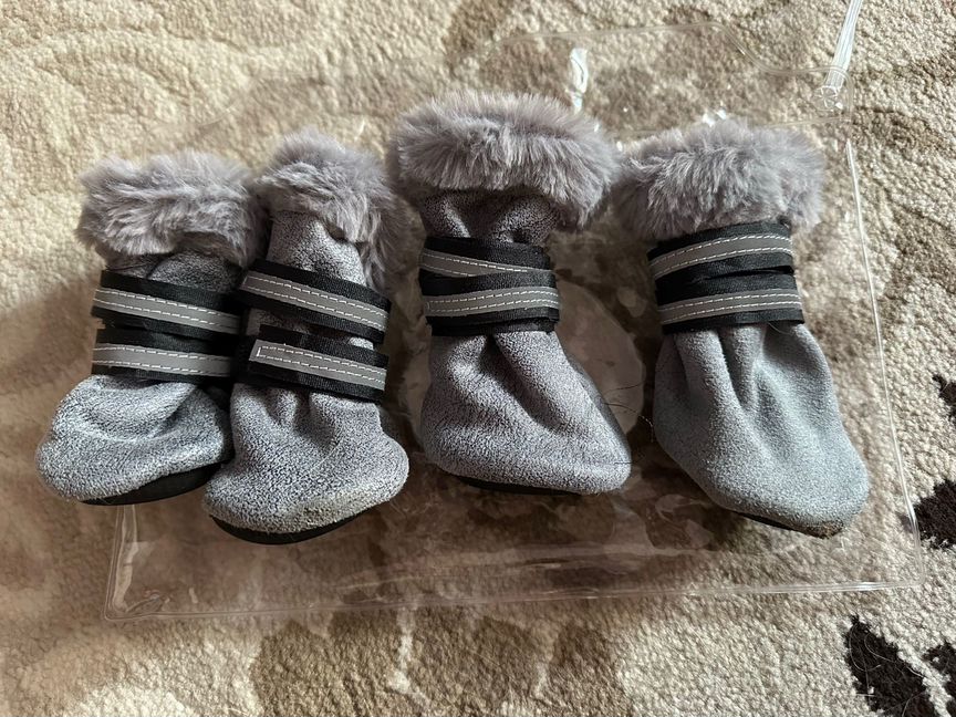 Зимние ботинки для собак