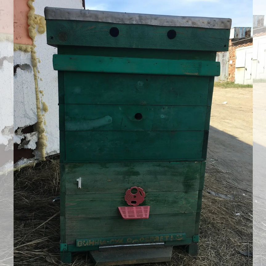 Улей дадан