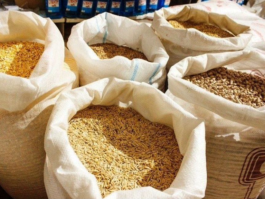 Пшеница, ячмень, кукуруза, зерносмесь, отруби