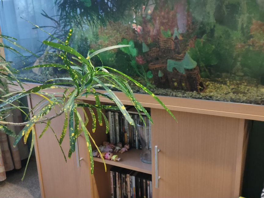 Аквариум с тумбой 240 литров