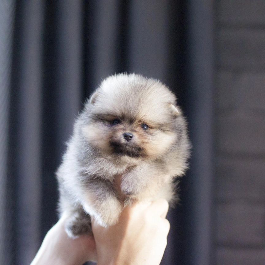 Микро девочка