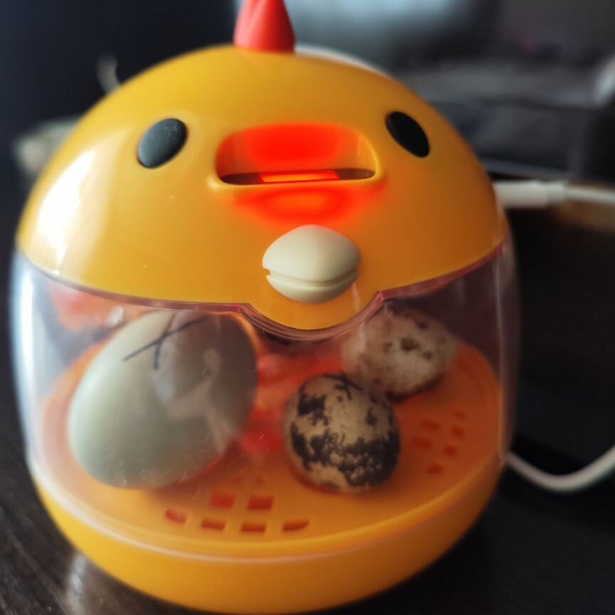 Инкубатор для яиц детский