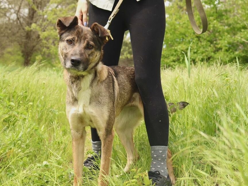 Прекрасная Дженни хочет в семью