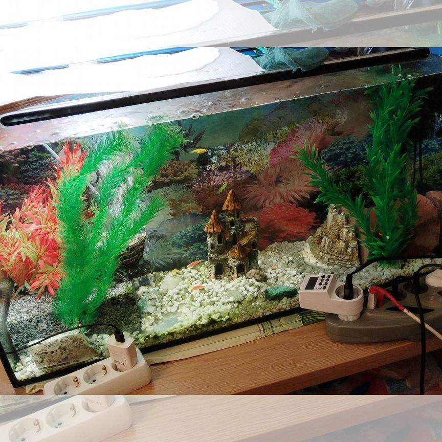 Аквариум