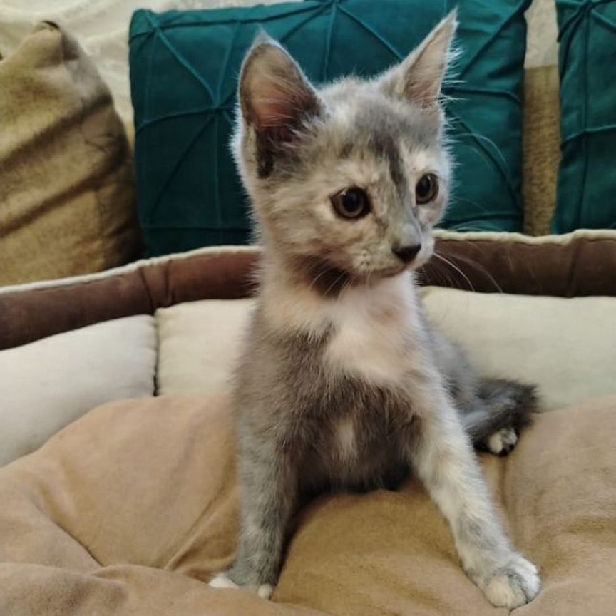 Василиса 3 месяца