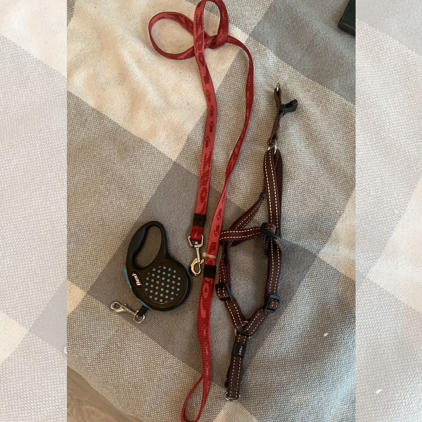 Шлейка и поводок для кошек/ маленьких собак