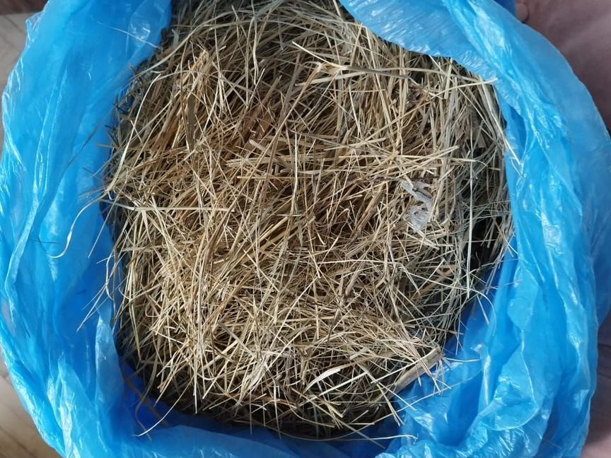 Сено (пакет)