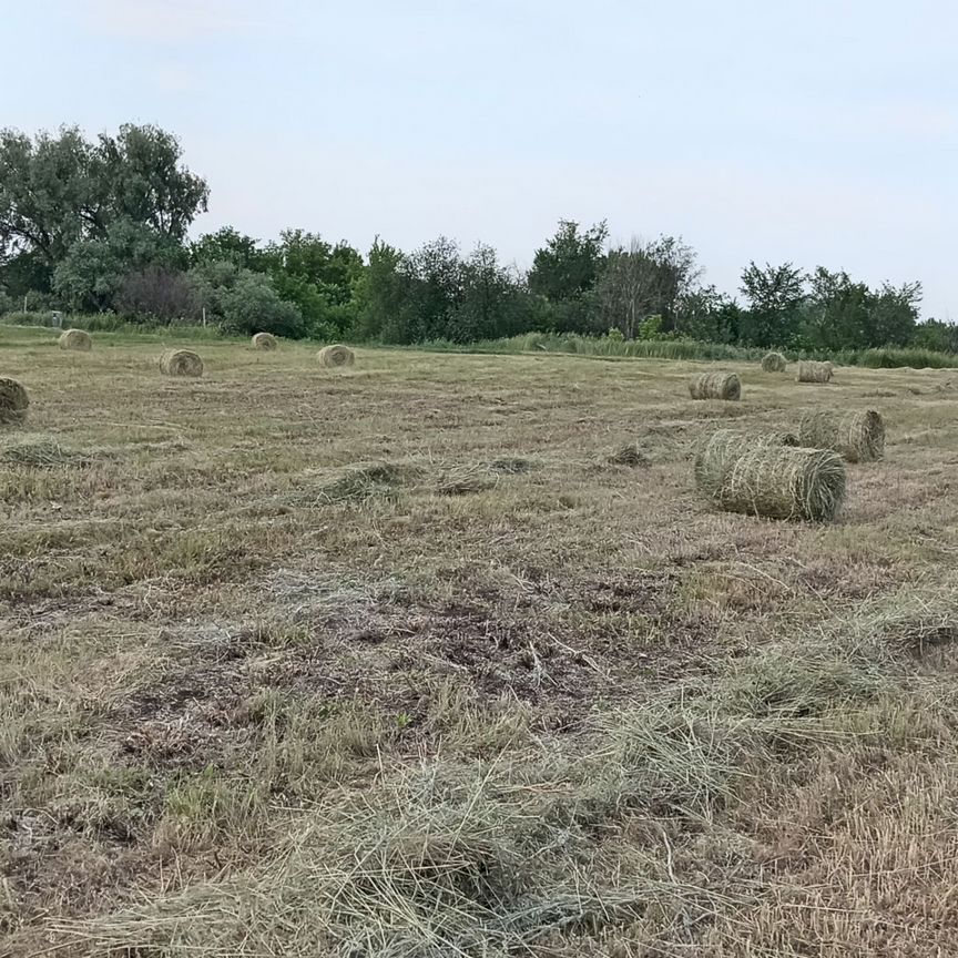 Сено в мини рулонах