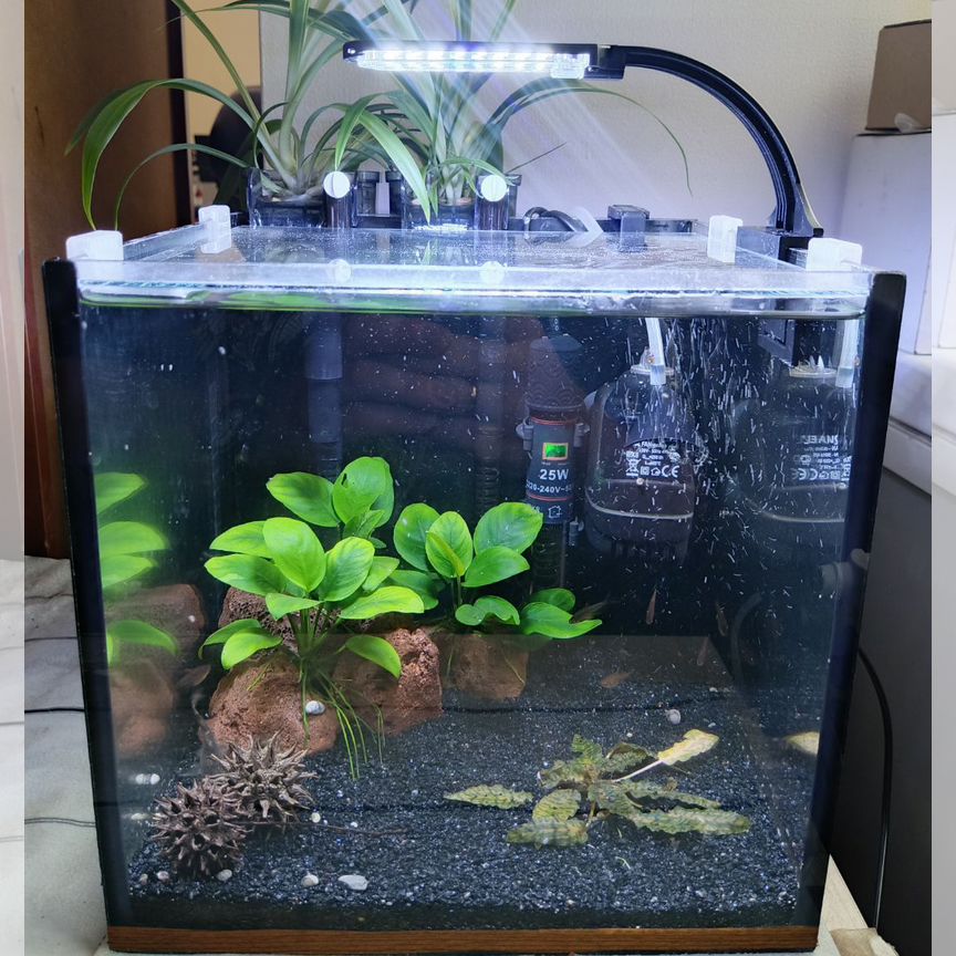 Аквариум куб 15л