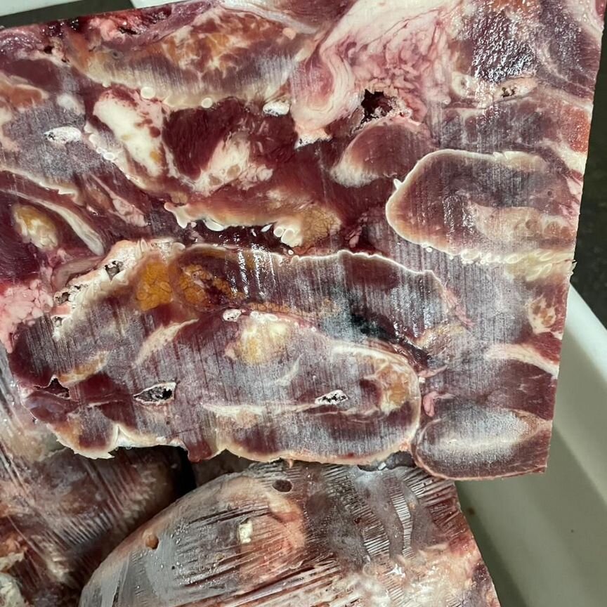 Пищевод говяжий для собак мясо для собак