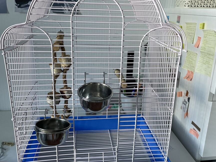 Клетка для попугая бу