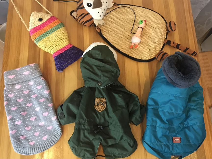 Товары для домашних животных