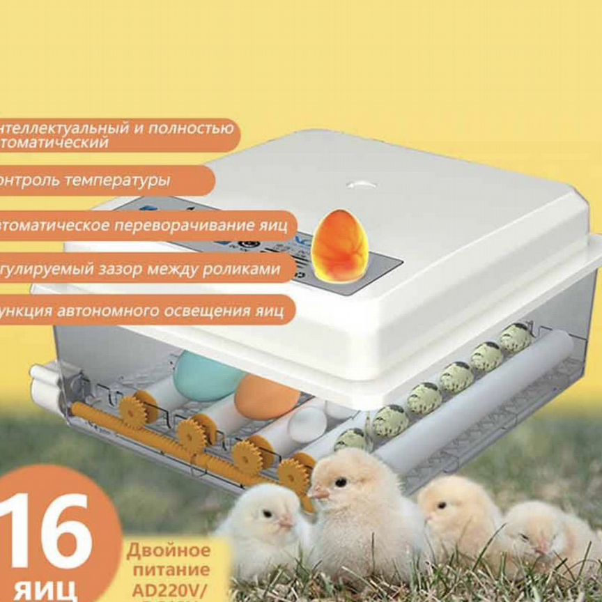 Инкубатор для яиц в аренду