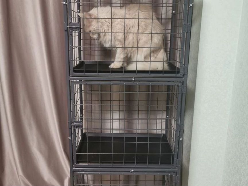 Клетка для животных