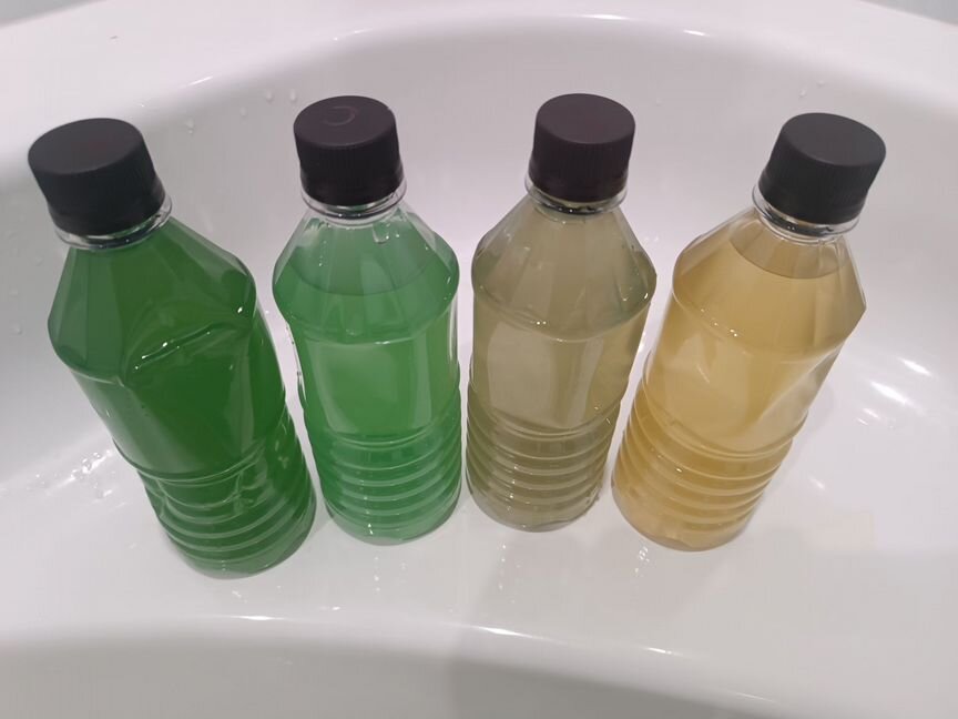 Фитопланктон