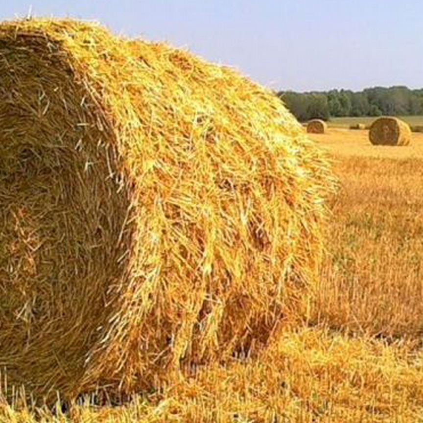 Солома в тюках