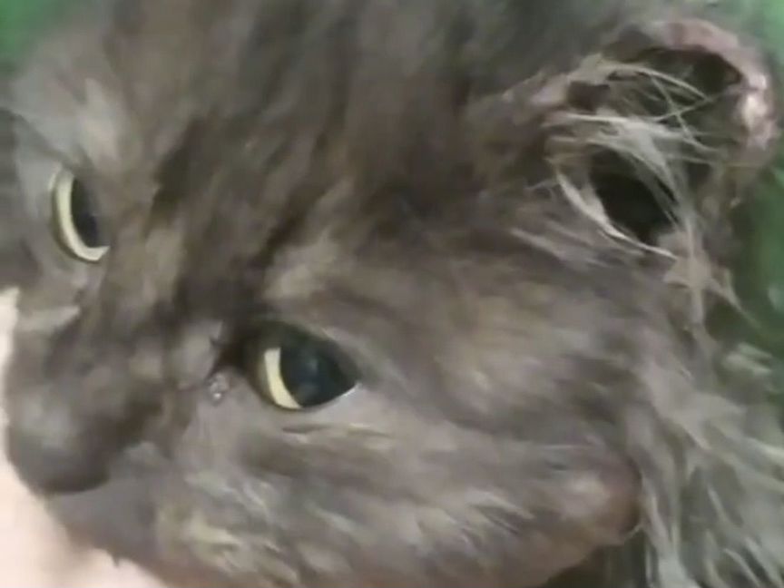 Замерзает малышка 4 мес