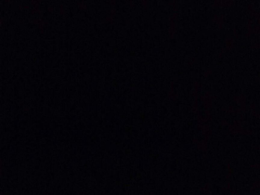 Гусь домашний, заколят в день заказа