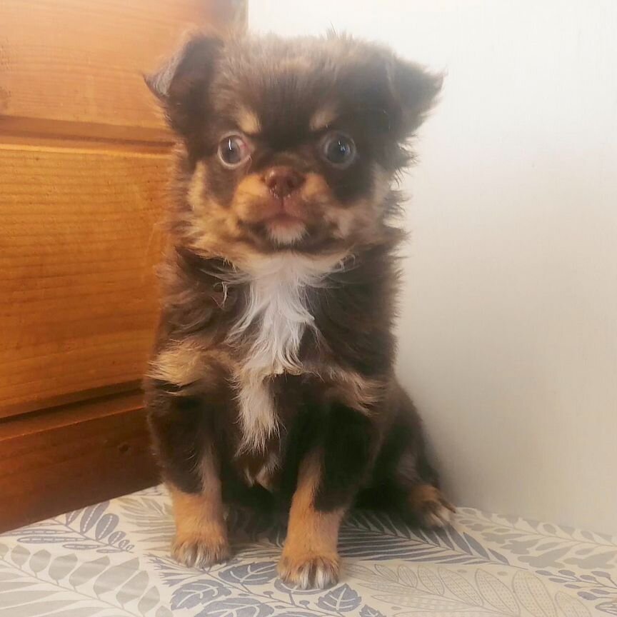 Красатулька