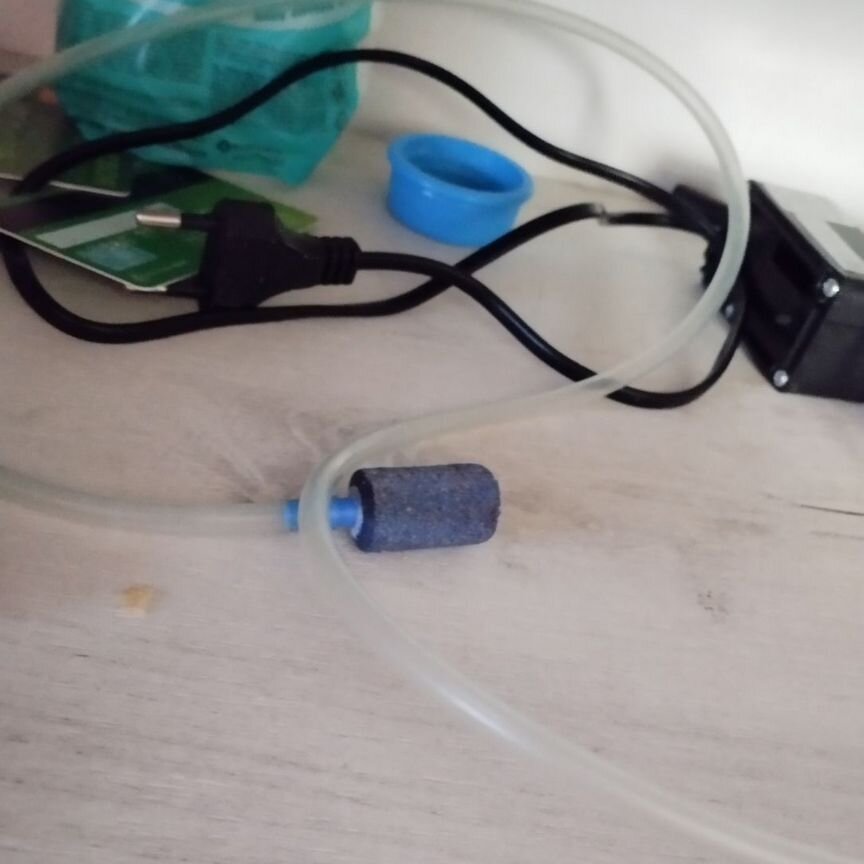 Аквариумные рыбки