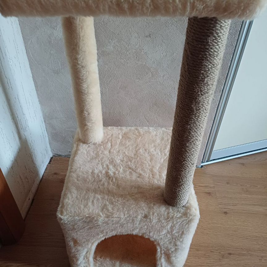 Восстановление когтеточек