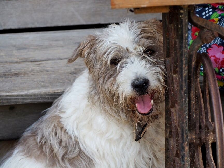 Сколько ему ещё ждать свою семью