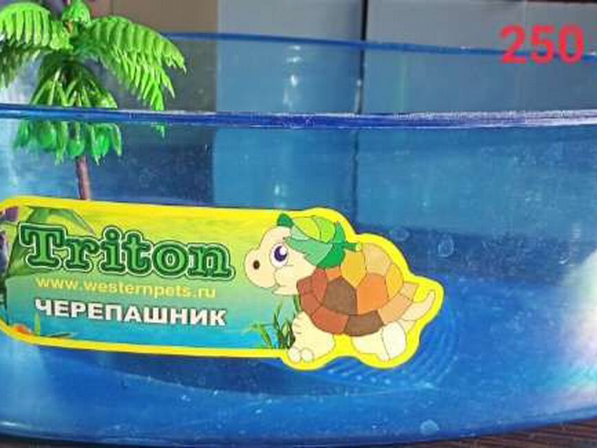 Черепашник