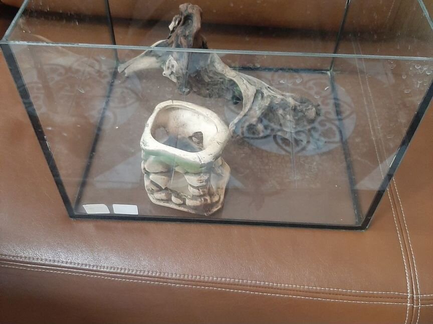 Аквариум