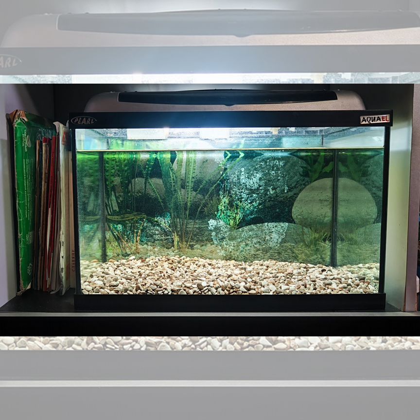 Аквариум с крышкой