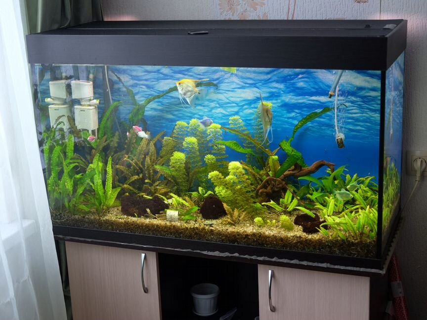 Аквариум 220 литров с тумбой