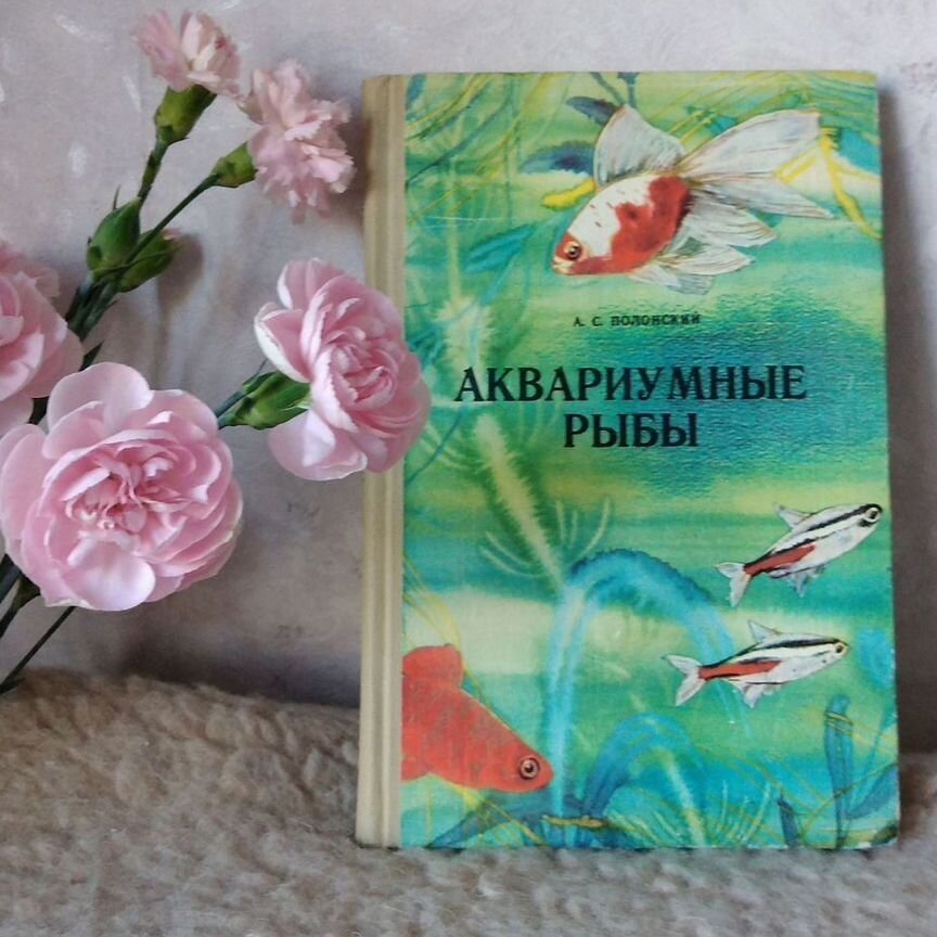 Аквариумные Рыбы