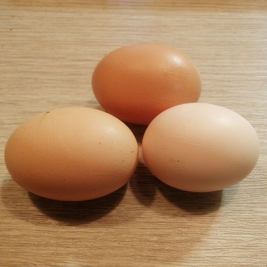 Яйцо домашнее с доставкой