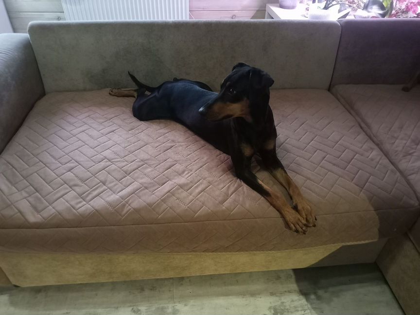 Непромокаемое покрывало