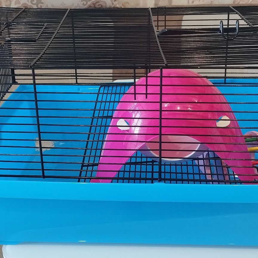 Клетка для хомяка большая