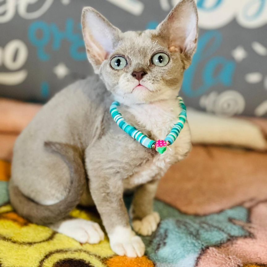 Принцесса с зелёными глазками