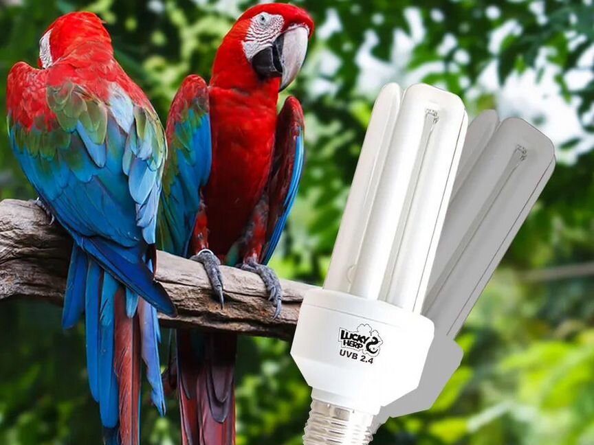 Уф лампа для птиц, 2.4 UVB, 12 UVA, 20W, Е27